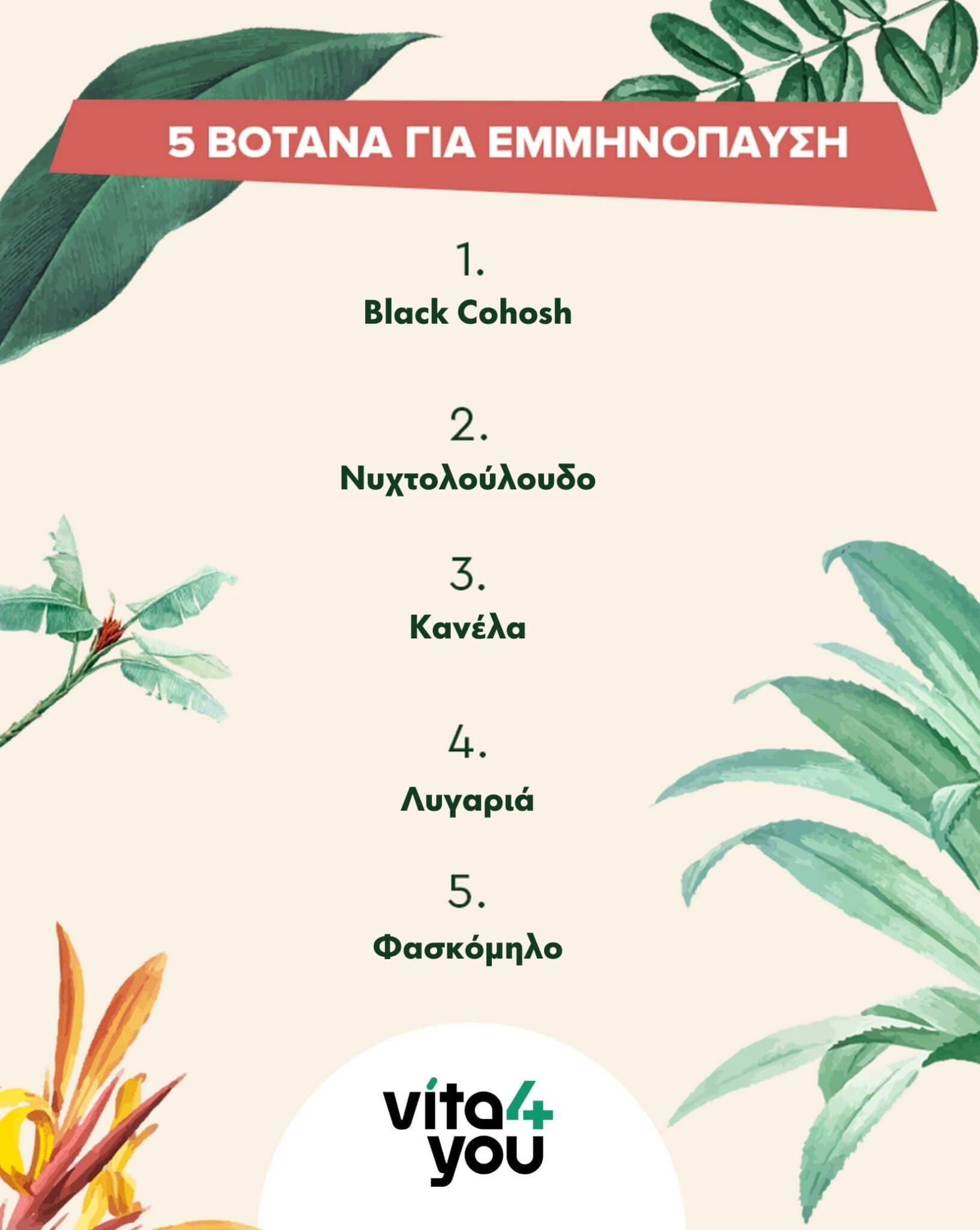 5 Βότανα για Εμμηνόπαυση!