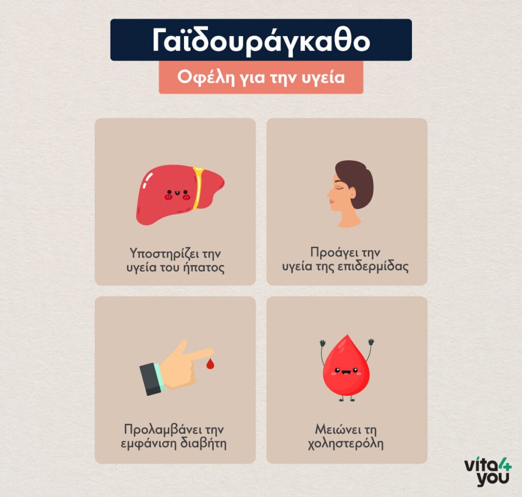 Γαϊδουράγκαθο: Ανακάλυψε τις θεραπευτικές του ιδιότητες!