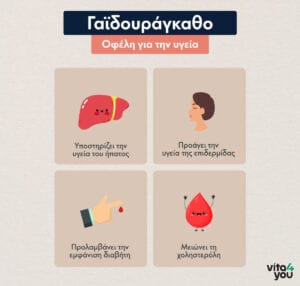 Γαϊδουράγκαθο: Ανακάλυψε τις θεραπευτικές του ιδιότητες!