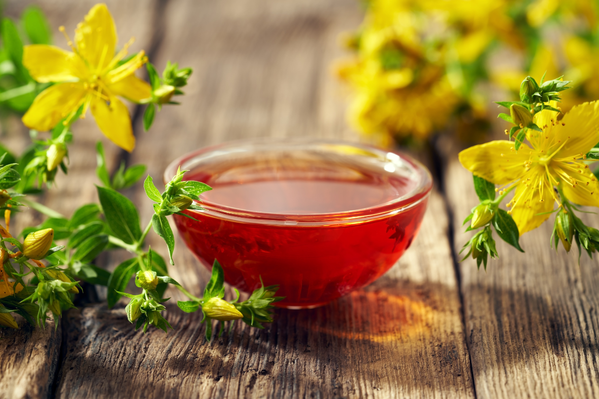 St John S Wort Oil Benefits Uses Side Effects