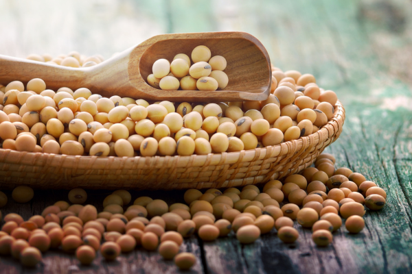 Soy Benefits & Isoflavones: Menopause, Heart & Bone Health
